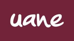 UANE En Línea: Universidad Autónoma Del Noreste A Distancia