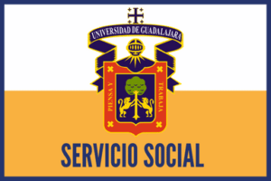 Servicio Social UDG: Inscripción, Selección De Plaza Y Más