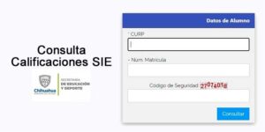 Portal Web Para Consultar Calificaciones SIE Y Cómo Hacerlo
