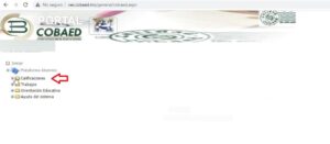 Calificaciones COBAED En Línea: Consulta Paso A Paso